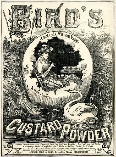 Birds Custard Logo