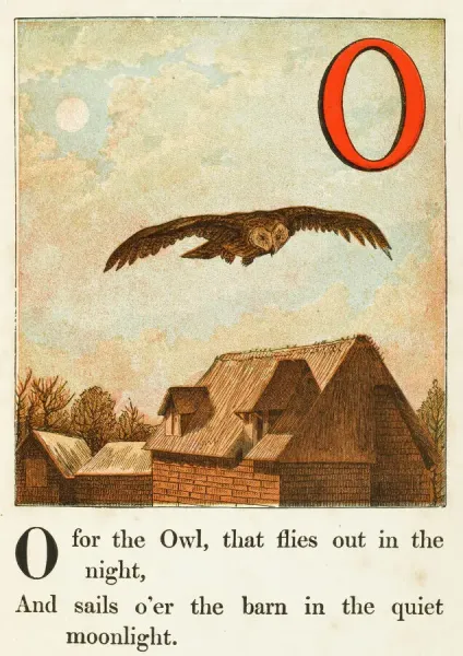 Birds / Owls / Alphabet available as Framed Prints, Photos, Wall Art ...