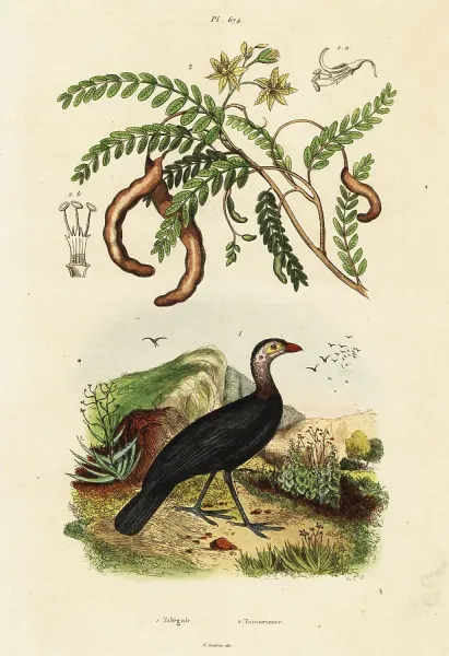 Tamarind Painting