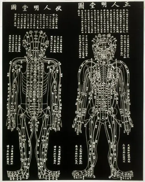 Meridian Acupunture Chart Understanding Acupuncture Meridian Pathways