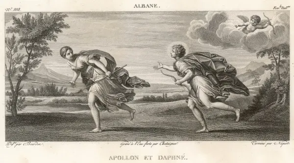 Apollo Laurel Tree