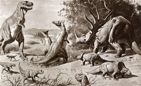 Cretaceous Period
