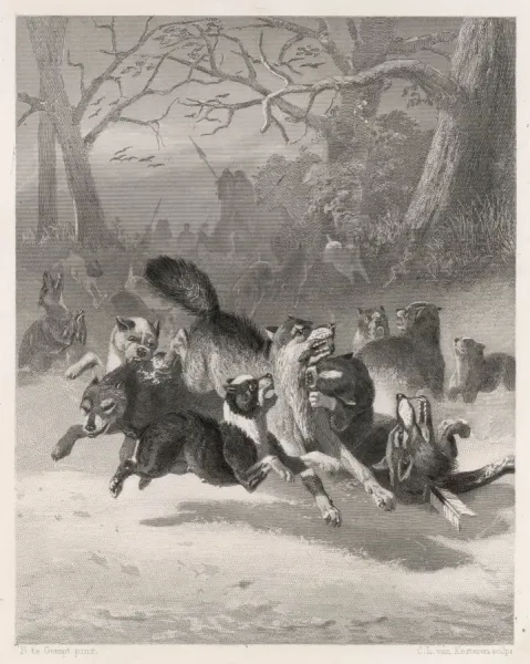 Historical Wolf Art