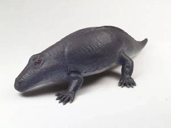 Eryops