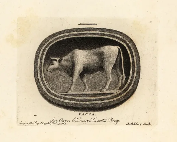 Figure of a cow. Vacca Our beautiful Wall Art and Photo Gifts include ...