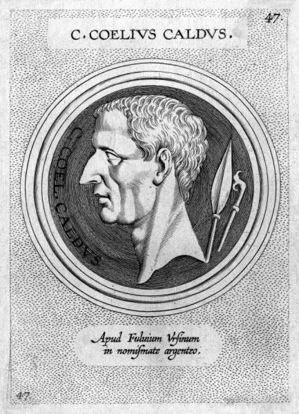 GAIUS COELIUS CALDUS Roman official Our beautiful Wall Art and Photo ...