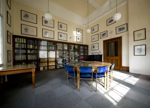 The Gavin De Beer room Our beautiful Wall Art and Photo Gifts include ...