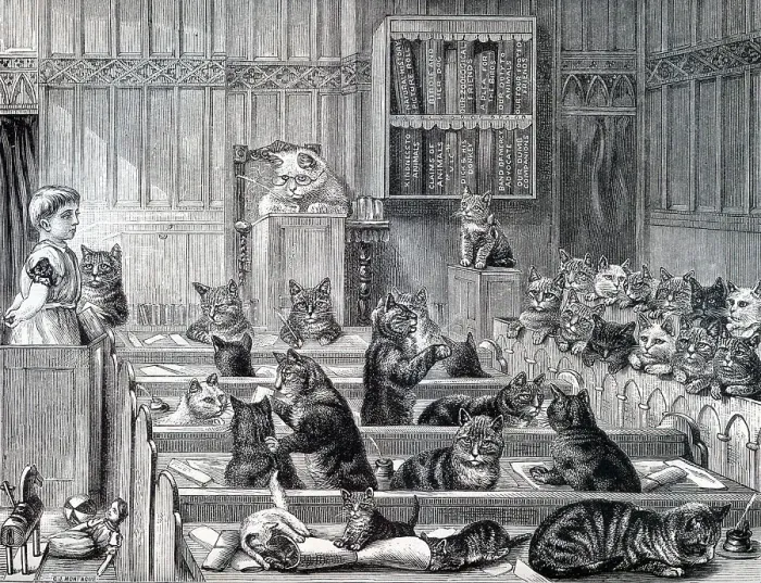 Guilty Or Not Guilty The Cats Court Date 1886 Our Beautiful Wall Art And Photo Ts Include
