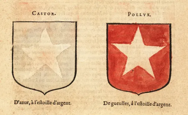 Imaginary coat of arms of the Dioscuri twins Castor