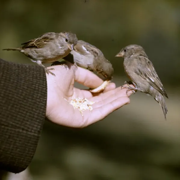 (insert) Our beautiful Wall Art and Photo Gifts include Framed Prints ...