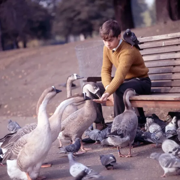 (insert) Our beautiful Wall Art and Photo Gifts include Framed Prints ...