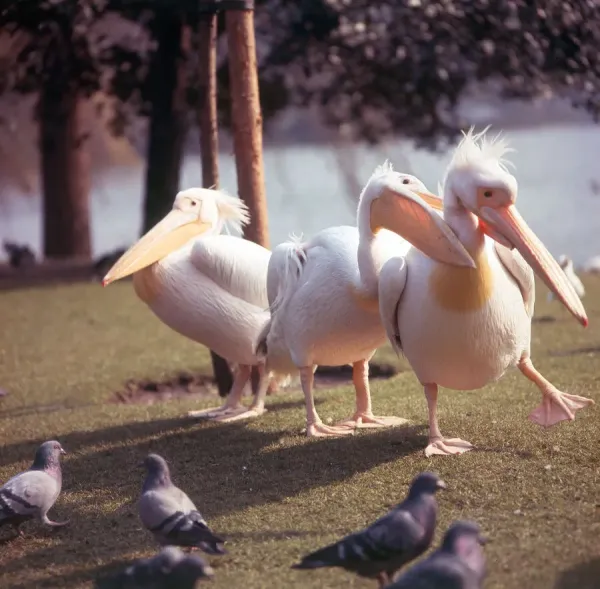 (insert) Our beautiful Wall Art and Photo Gifts include Framed Prints ...