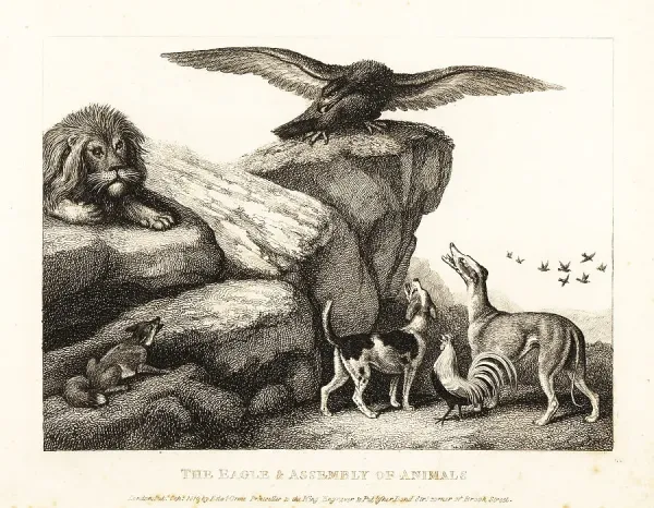 Jupiters bird admonishing an assembly of animals Our beautiful Wall Art ...