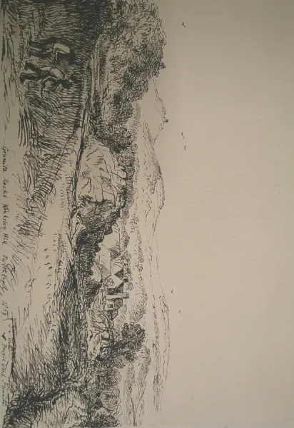 Kinchley Hill and Brazil Wood, Swithland, Leicestershire