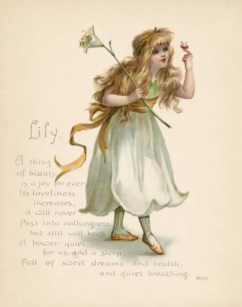 Lily / Language of Flowers Our beautiful Wall Art and Photo Gifts ...