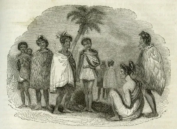 New Zealand Indigenous People Maori Man In Traditional Greeting ...