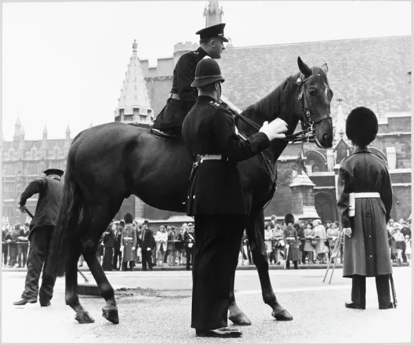 Mounted Police Officer Our beautiful Wall Art and Photo Gifts include ...