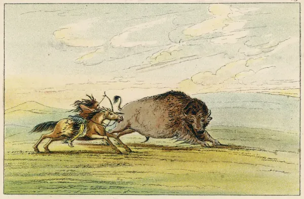 Native American Hunting Native Americans On Horseback Hunting Bison By