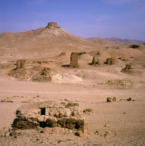 Palmyra, Syria Valley of Tombs Our beautiful Wall Art and Photo Gifts ...