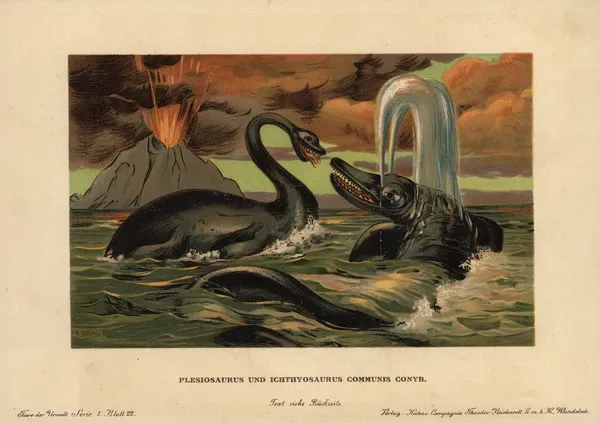 Plesiosaurus, extinct aquatic carnivore Our beautiful Wall Art and ...