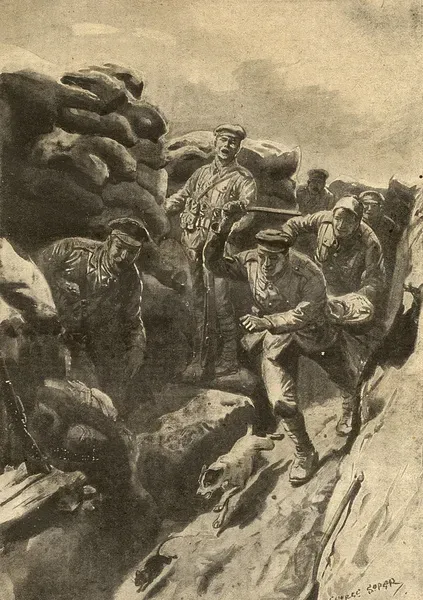 World War 1 Trenches Rats