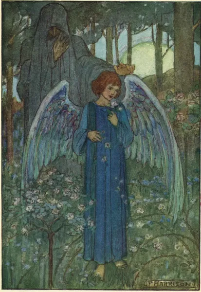 The shadow passeth when the tree shall fall Our beautiful Wall Art and ...