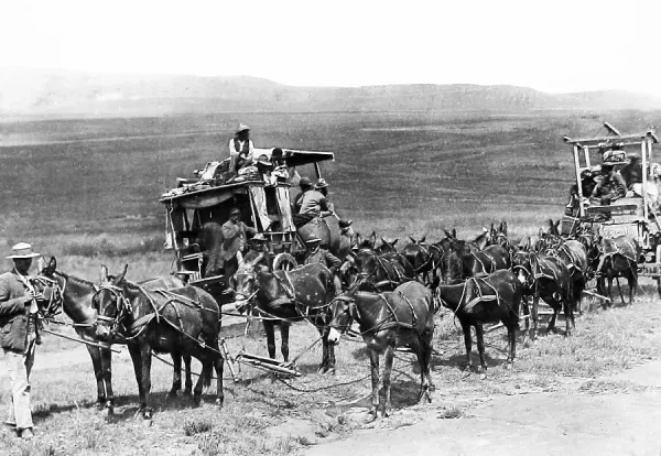 Mule Train Wagons Drawings Historic Photo : Twenty Mule Team Borax