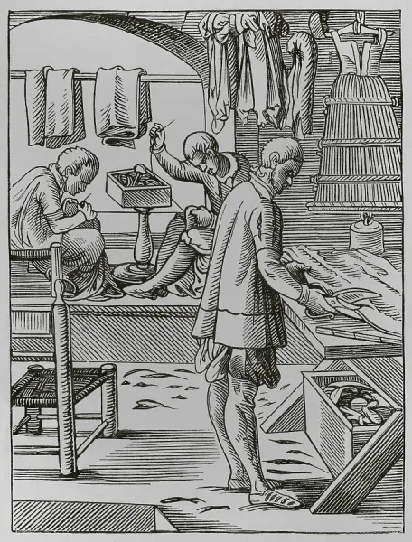 The trades. The tailor, 16th century. Engraving Our beautiful Wall Art ...