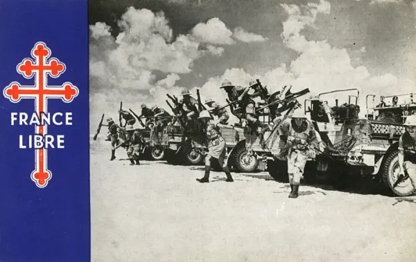 French Forces In Africa