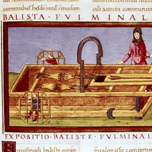 Homo heidelbergensis, Boxgrove Man tibia available as Framed Prints ...