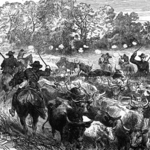 Basuto Gun War, 1880 Thaba Bosigo Our beautiful Wall Art and Photo ...