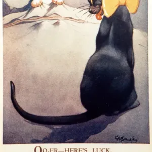 George Studdy Bonzo postcard Our beautiful Wall Art and Photo Gifts ...