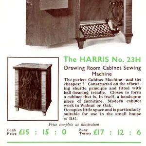 Pink begonia, Begonia rosacea Our beautiful Wall Art and Photo Gifts ...