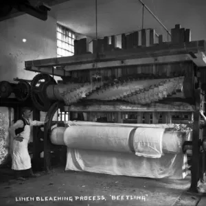 Larva of the Hemerobius lacewing in lichen Our beautiful Wall Art and ...