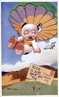 Studdy Collection of Photo Prints and Gifts #2