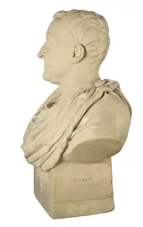 Carl Linnaeus Art Prints