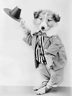 Doff Art Prints, Posters & Photo Prints