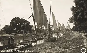 Mahmoudieh Photo Prints