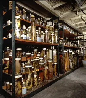 Spirit Building Collection of Photo Prints and Gifts