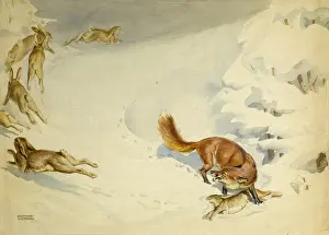 Fittest Collection of Art Prints and Gifts