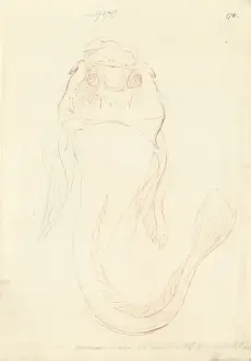 Genyagnus Collection of Art Prints and Gifts