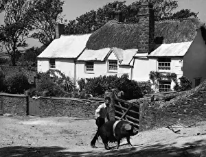 Goading Art Prints, Posters & Puzzles