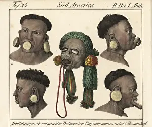 Easternbrazil Prints