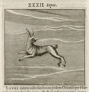 Hyginus Collection of Photo Prints and Gifts