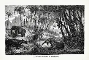 The Geological Society of London Art Prints, Posters & Puzzles