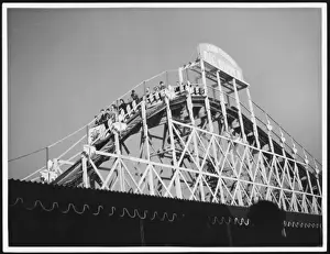 Dipper Art Prints, Posters & Puzzles