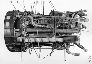 Jumo Collection of Photo Prints and Gifts