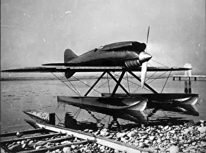 Macchi Art Prints, Posters & Puzzles