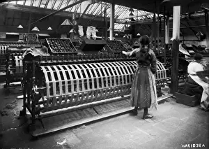 Flax Collection of Photo Prints and Gifts