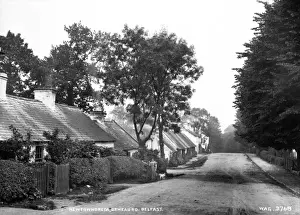 Newtownbreda Art Prints, Posters & Puzzles